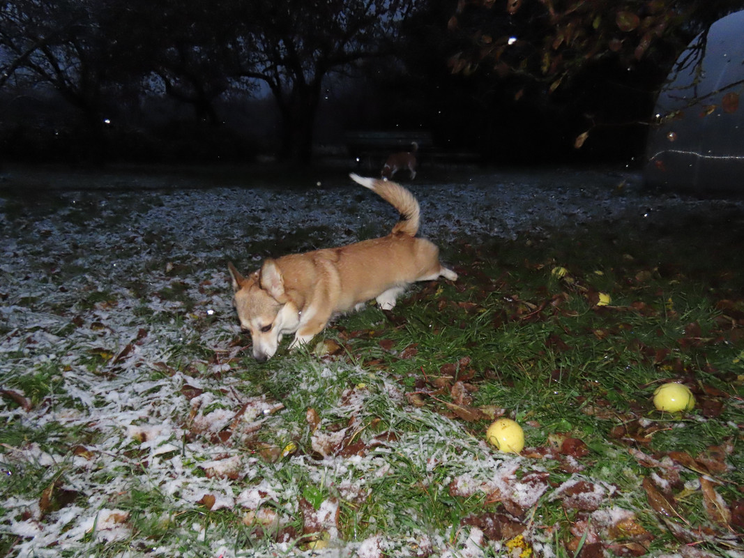 IMG 9974 — Postimages