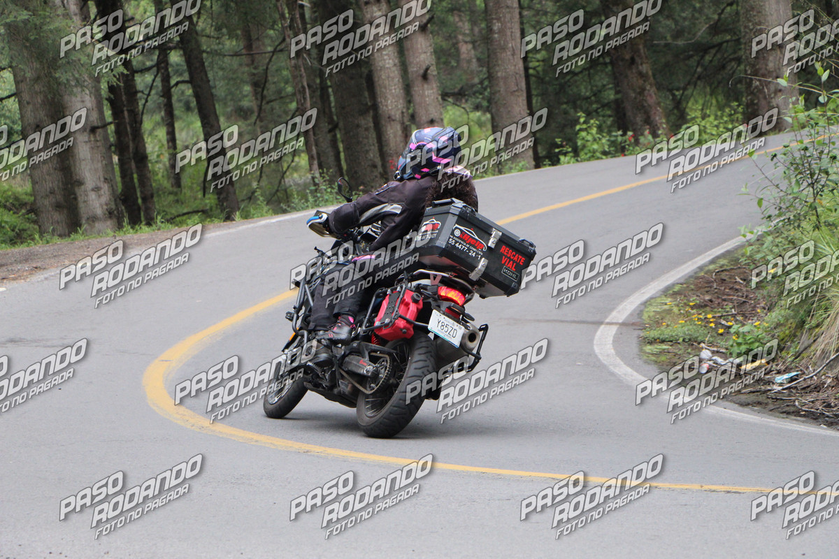 IMG 1184 wm 681490 watermarked — Postimages