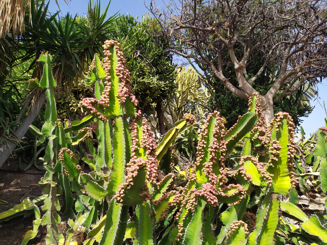 IMG 20230315 152157 — Postimages