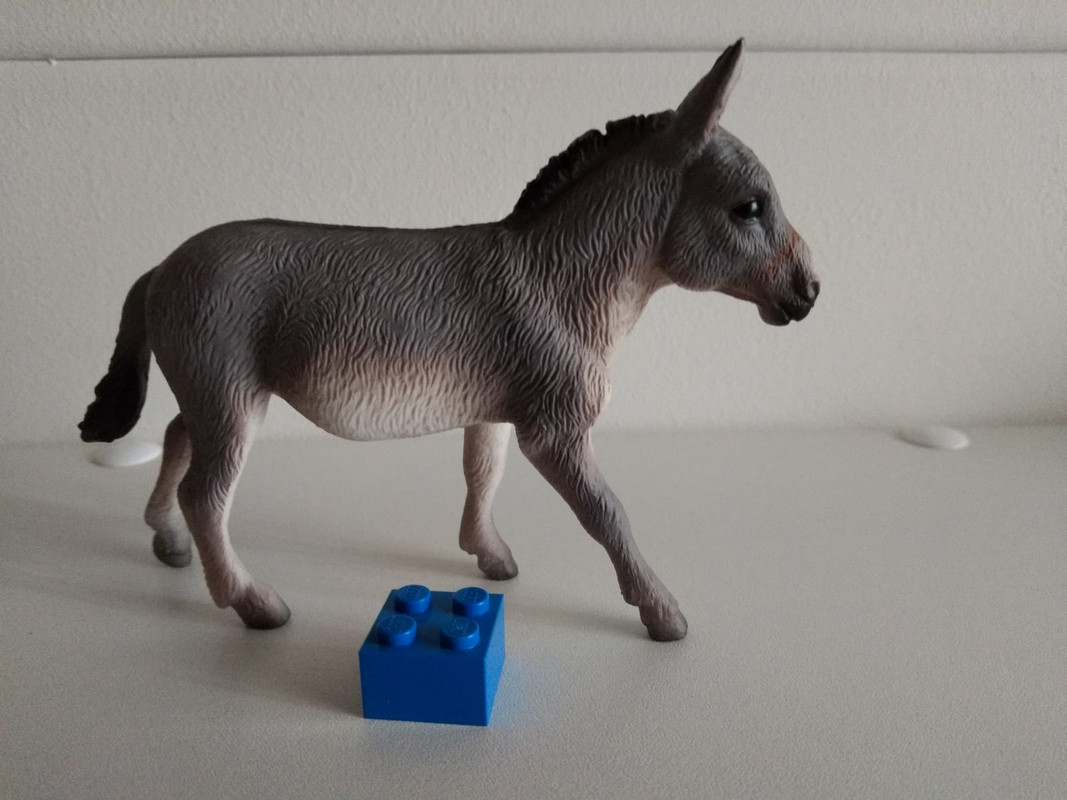 Wild and Farm animals 2020 from Mojo Fun!