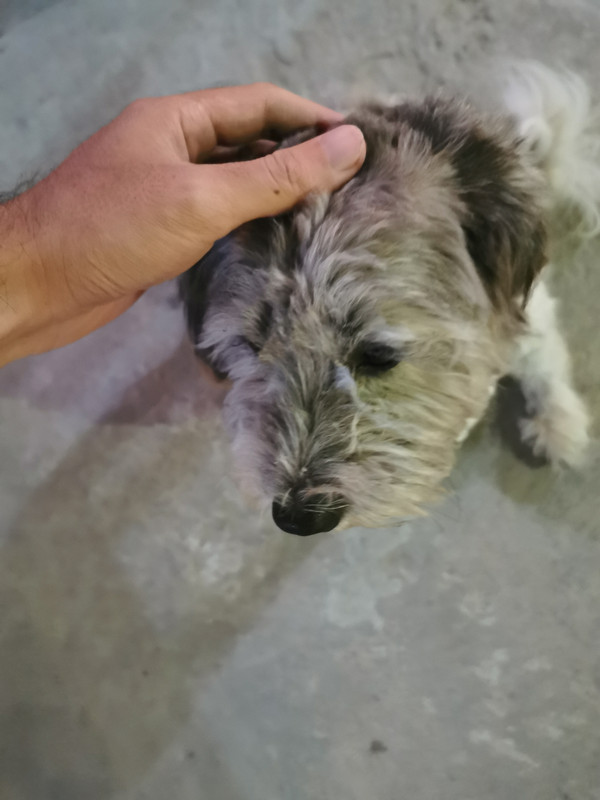 IMG 20221220 190007 — Postimages