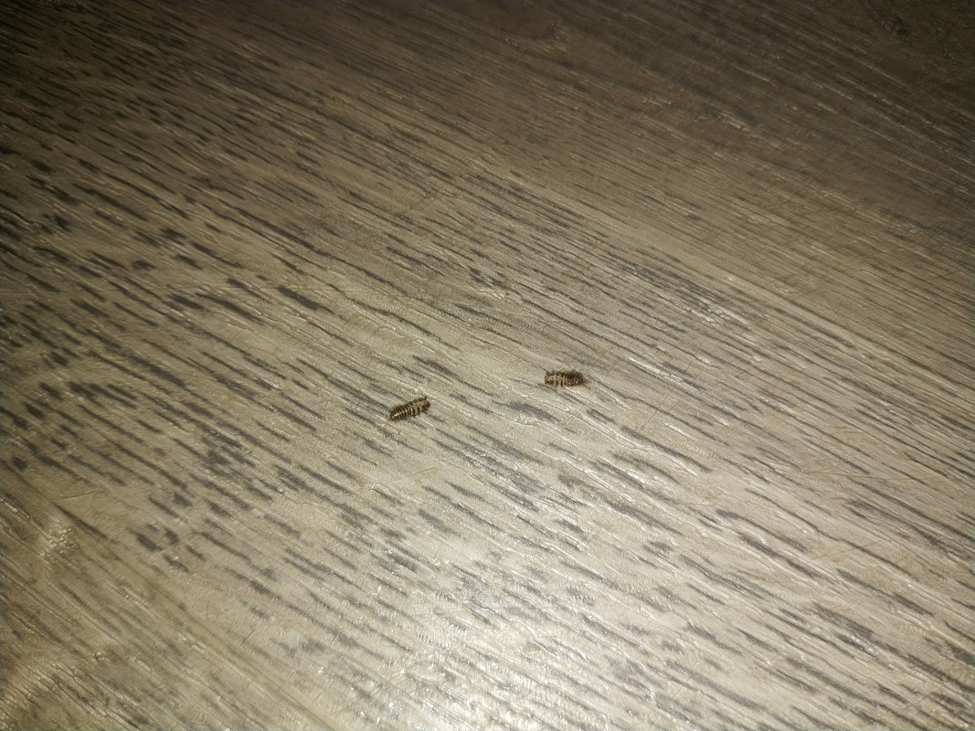 IMG 20220710 113738 — Postimages