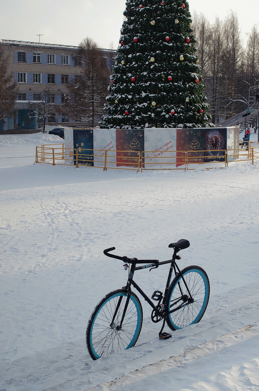 Imgp02520 Postimages