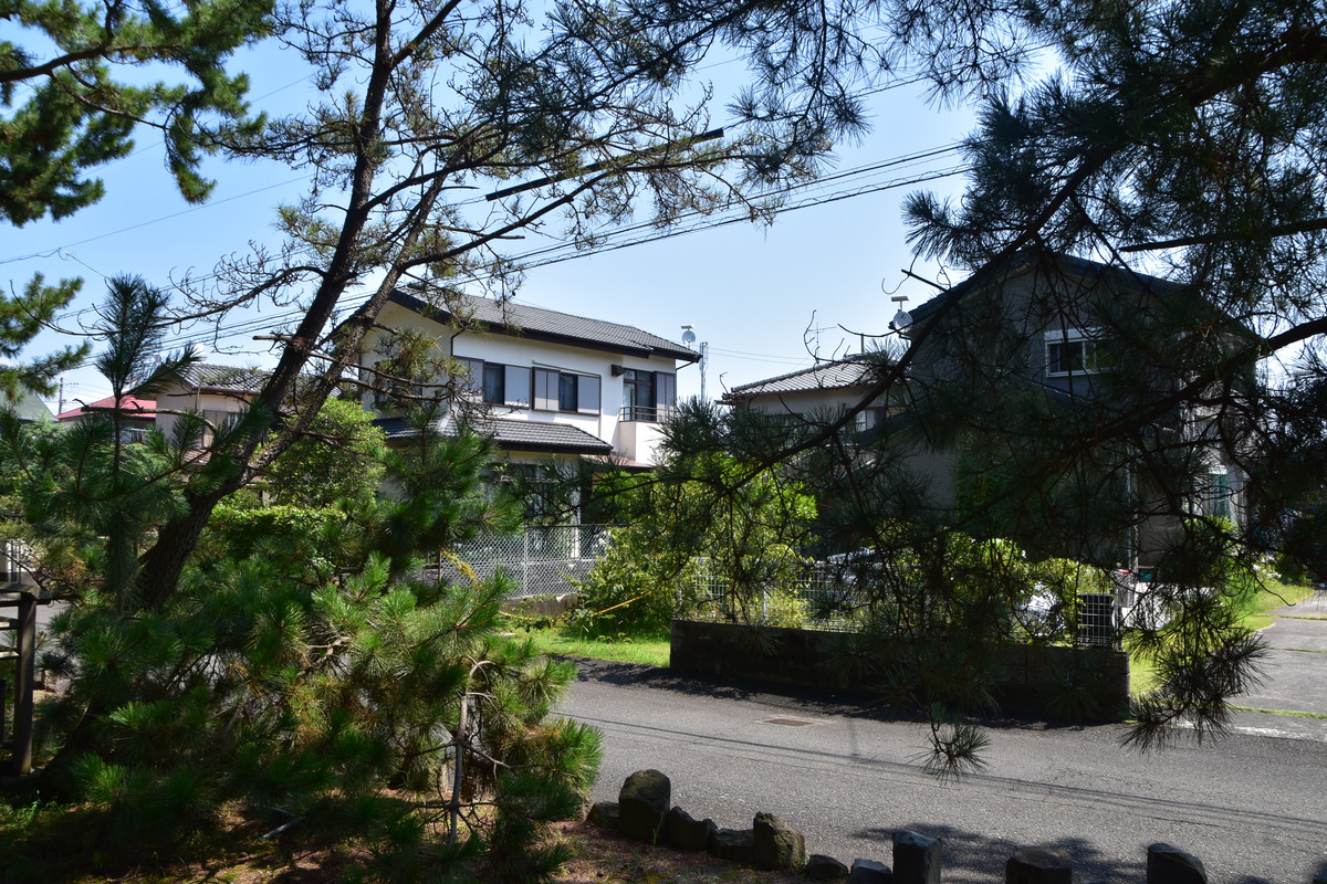 DSC 0231 — Postimages