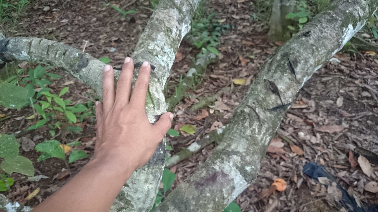 DSC 0475 — Postimages