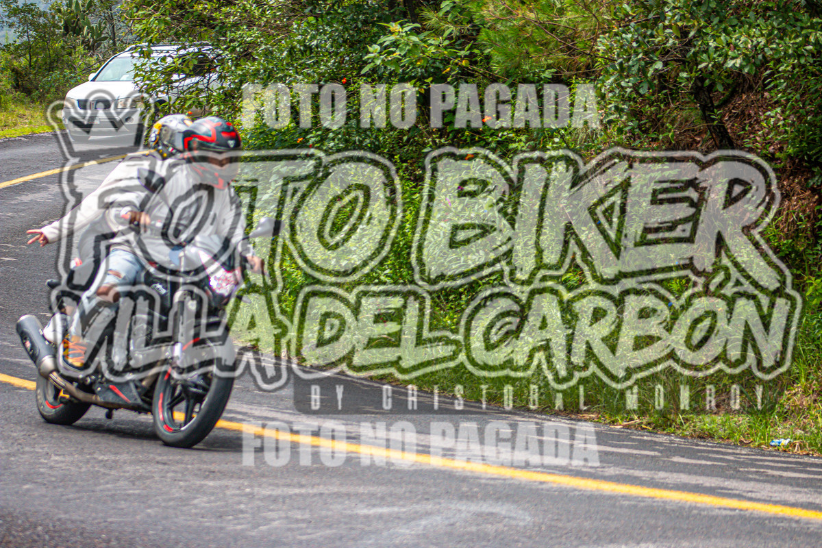 C1P1 101 — Postimages