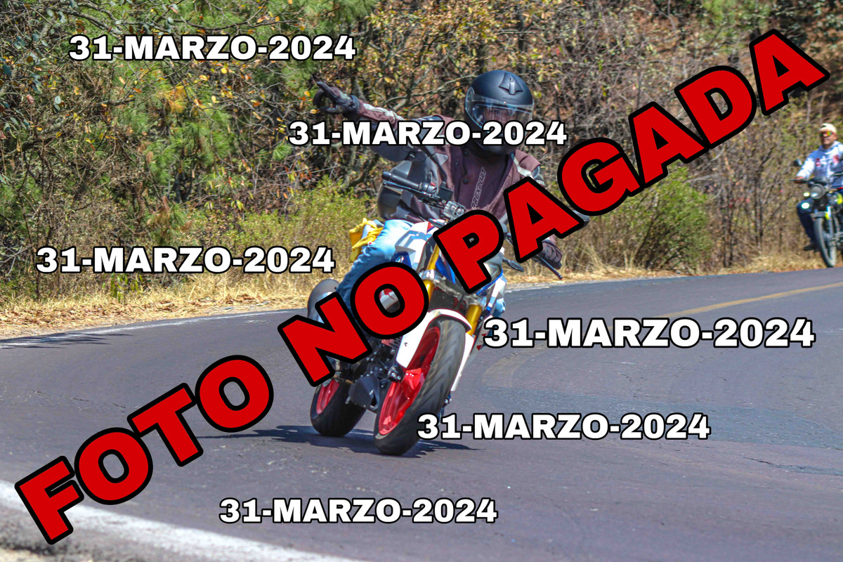 CS 297 — Postimages