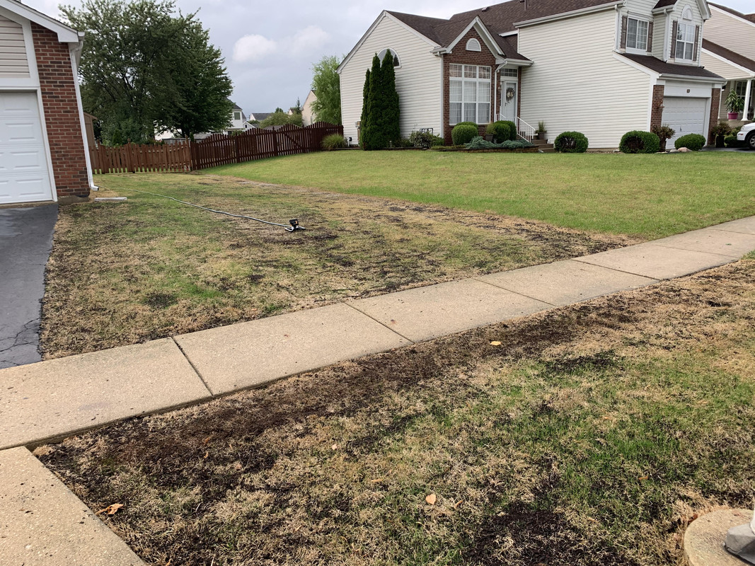 lawn 2 — Postimages