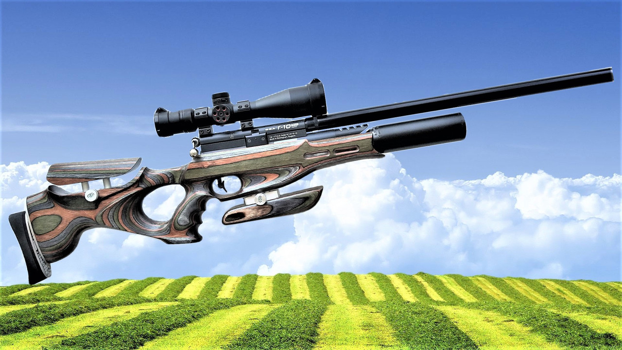 Laminated stock with hamster for BSA R10 MK2 | AirGun Forums the best ...