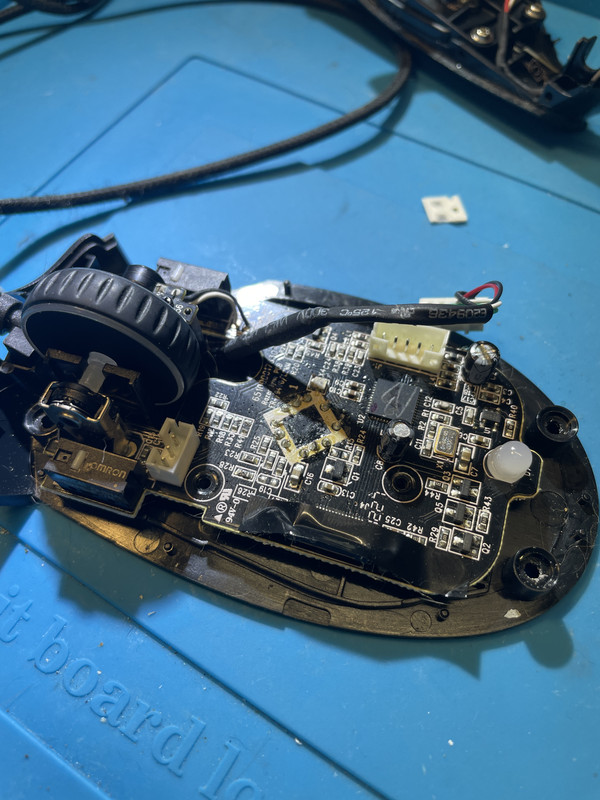 IMG 3437 — Postimages