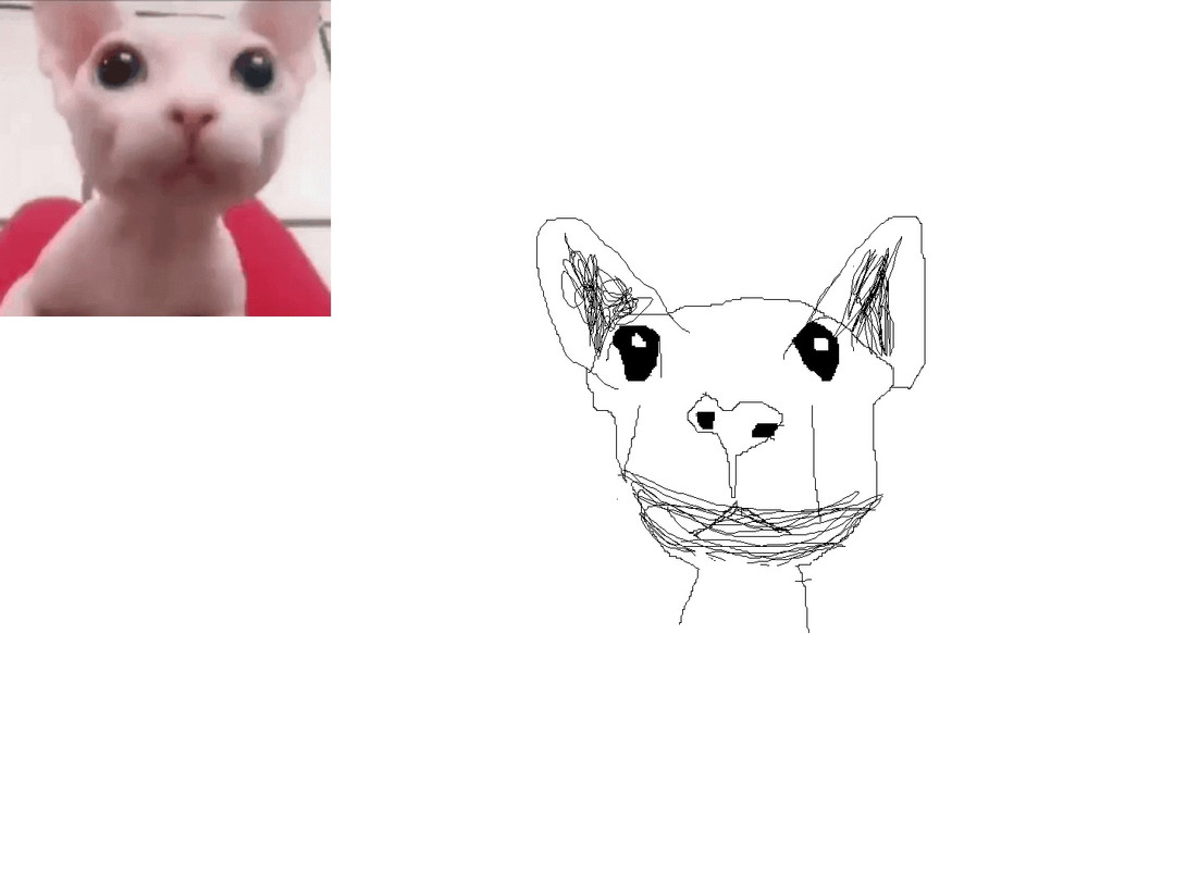 i draw binguds : r/bingus