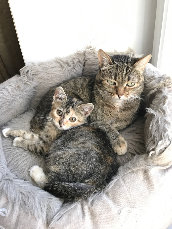 447 B4 DCC B871 4 A69 B880 33 DEBEF8 BBB5 — Postimages