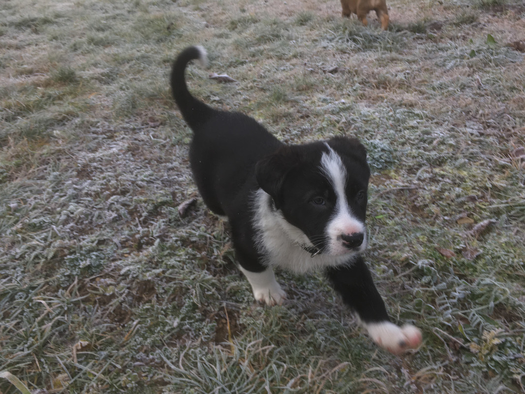 IMG 0995 — Postimages