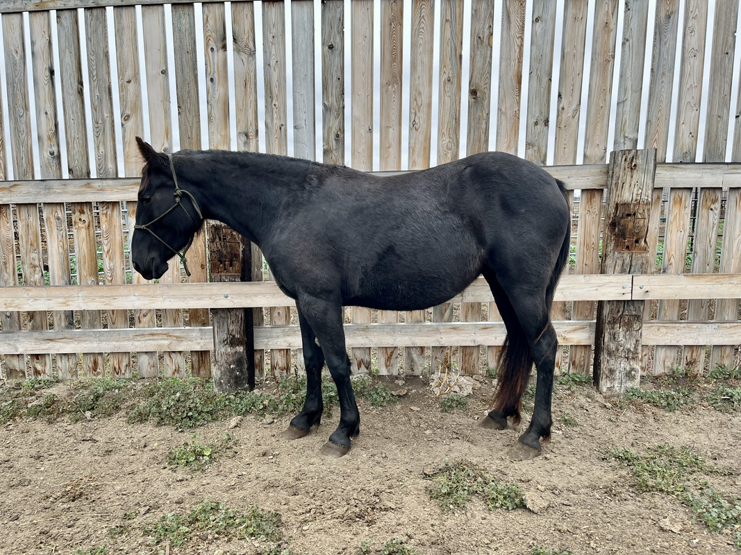 IMG 8021 — Postimages