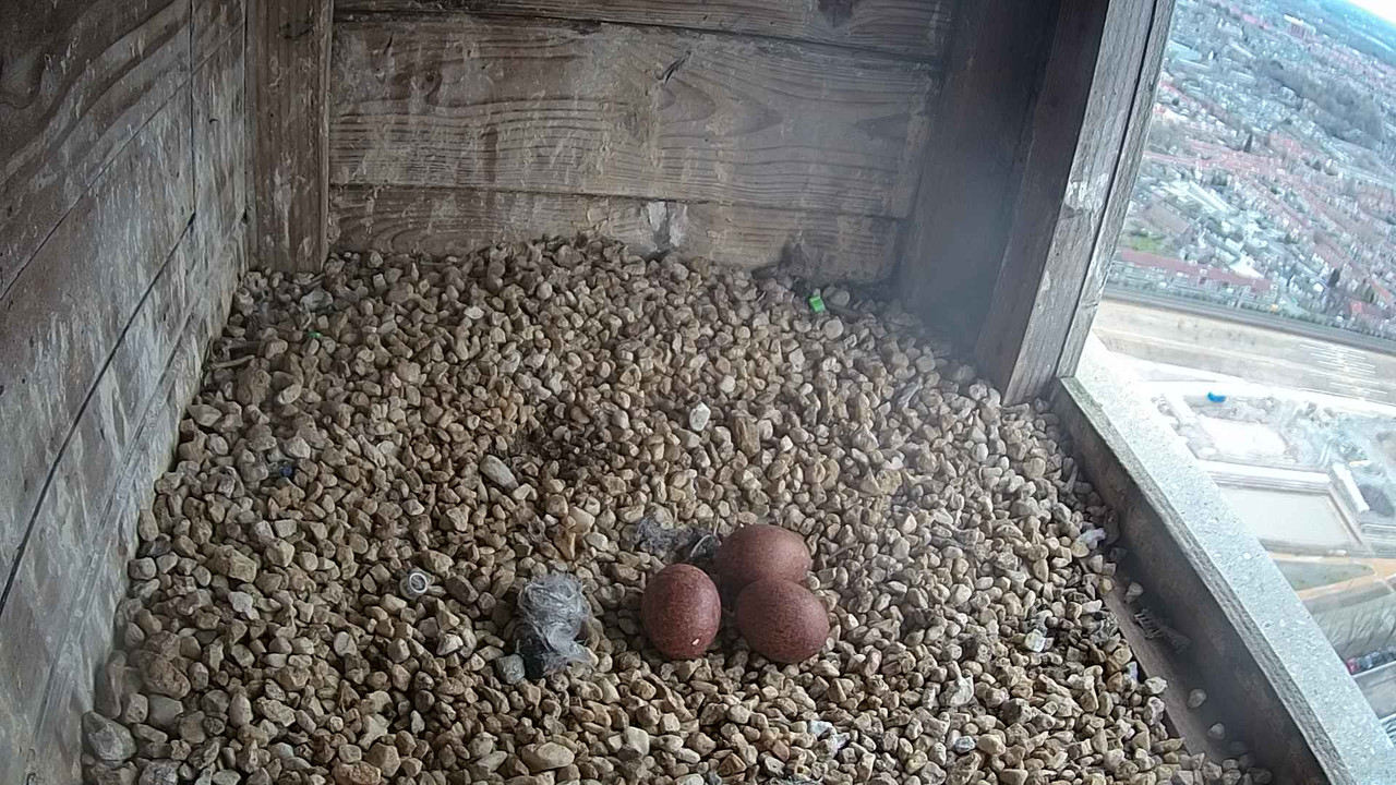 16 3b — Postimages