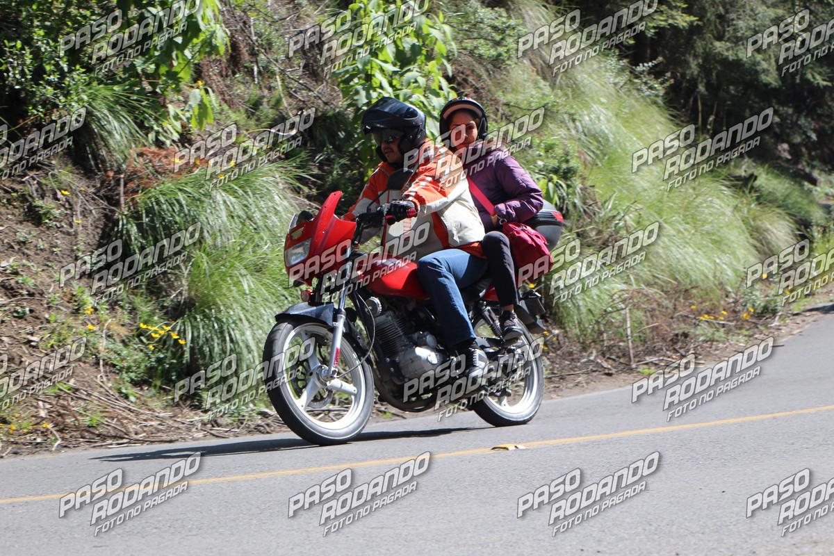 IMG 5648 wm 40110 watermarked — Postimages