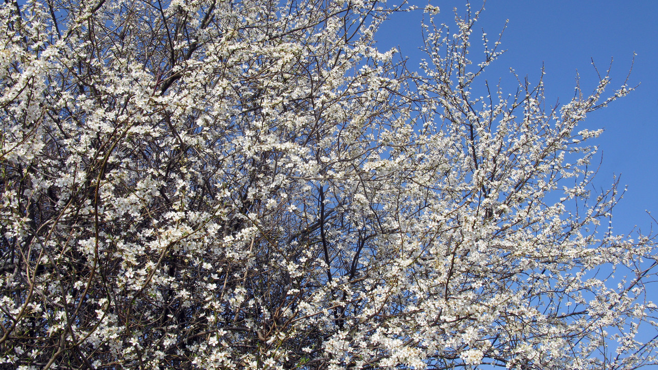 IMG 0775 — Postimages