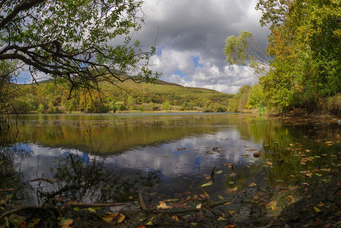 V0007786 1600 — Postimages