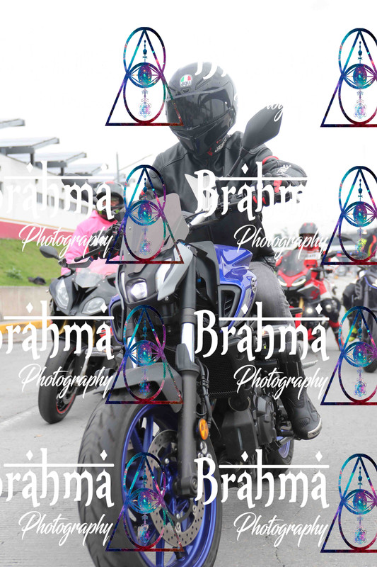 IMG 3011 — Postimages