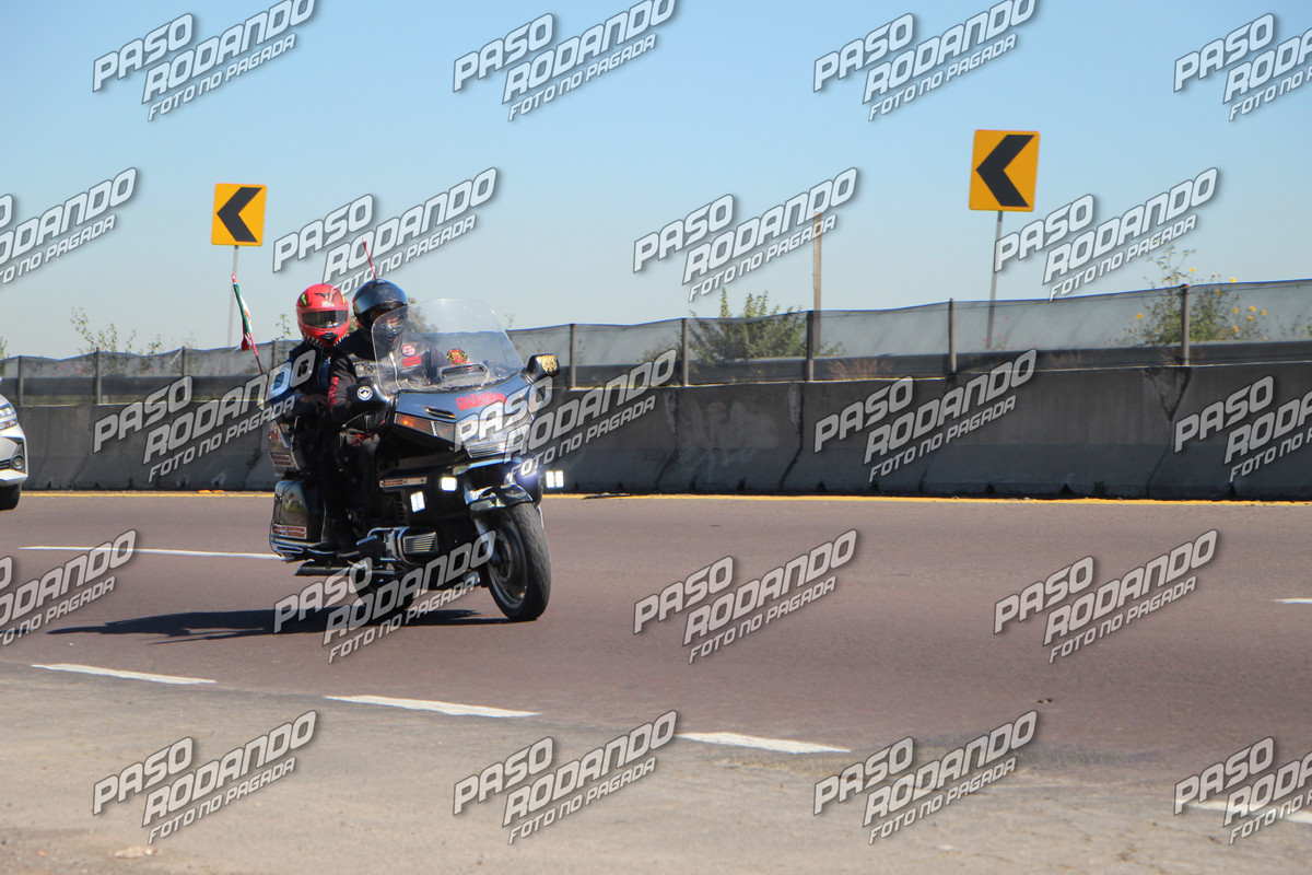 IMG 3350 wm 9851548 watermarked — Postimages