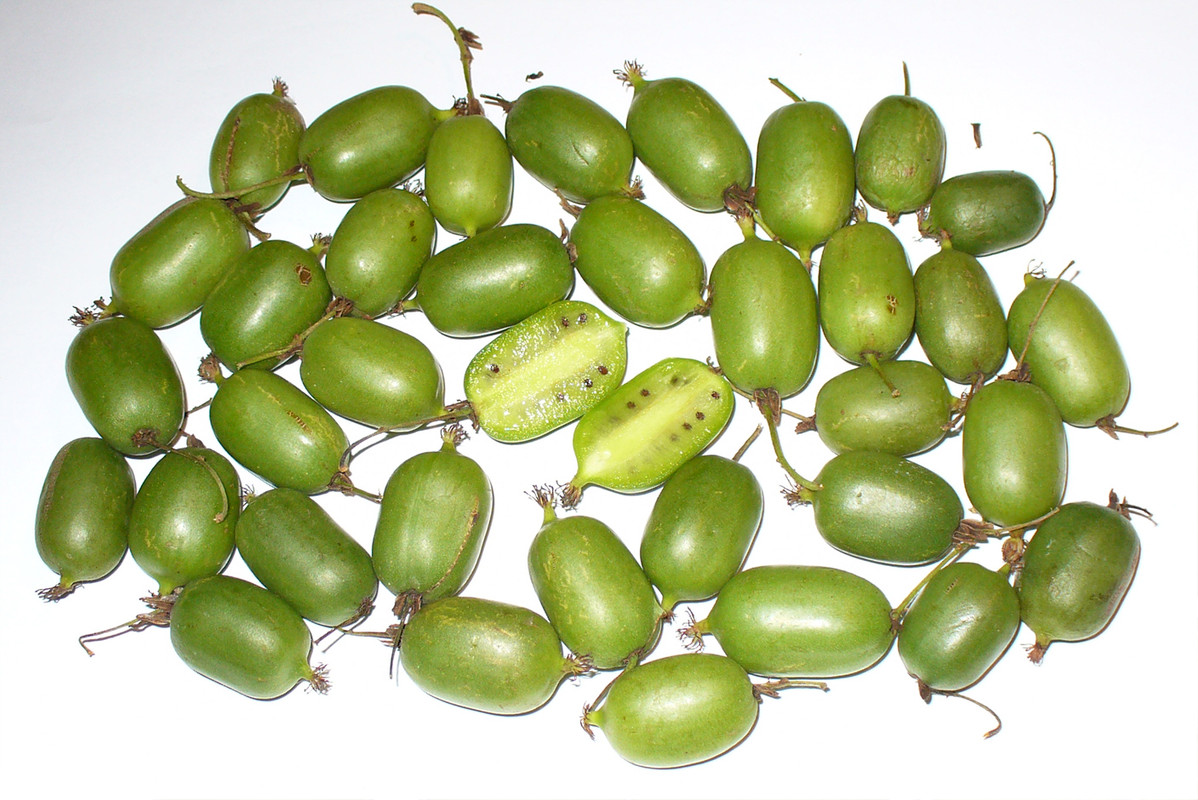 P1190730 50 — Postimages