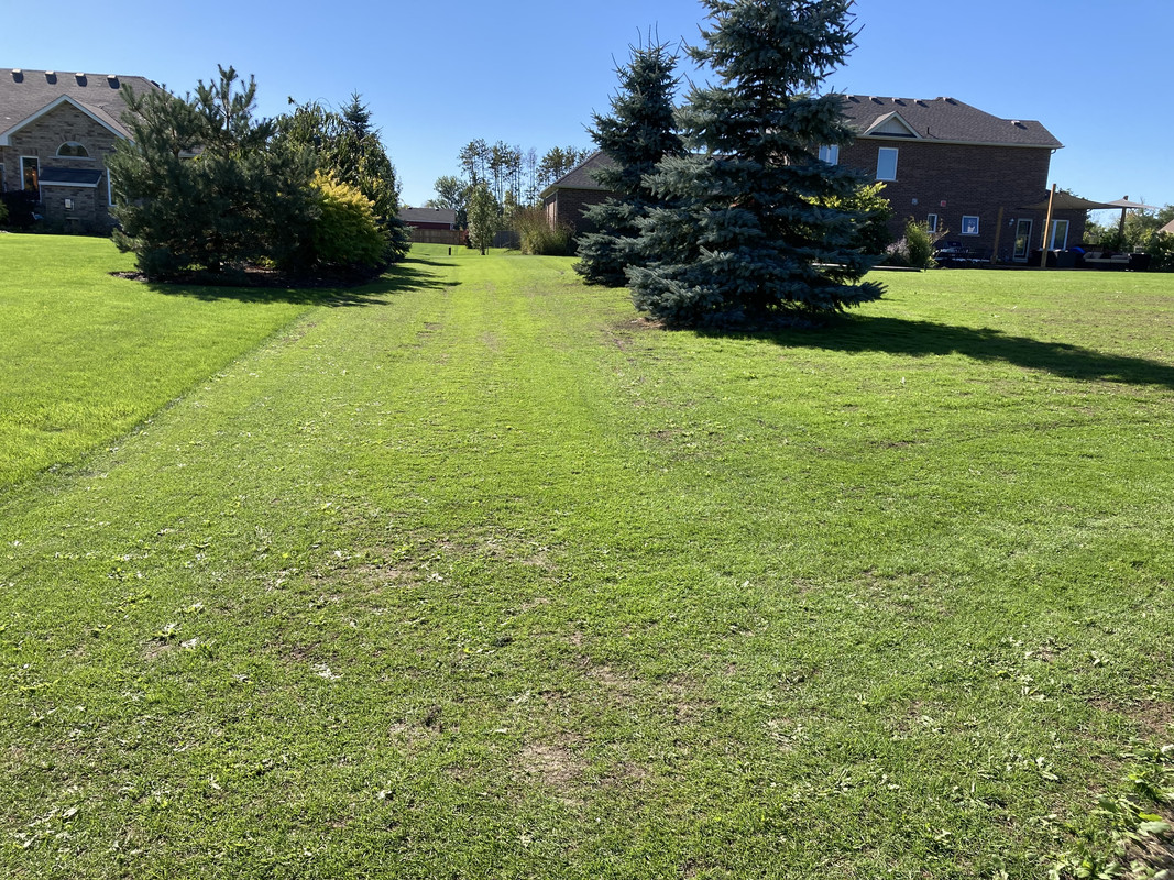 8 E5 E1 Ec8 6894 45 D7 B8 D5 55841 B3 E7154 — Postimages