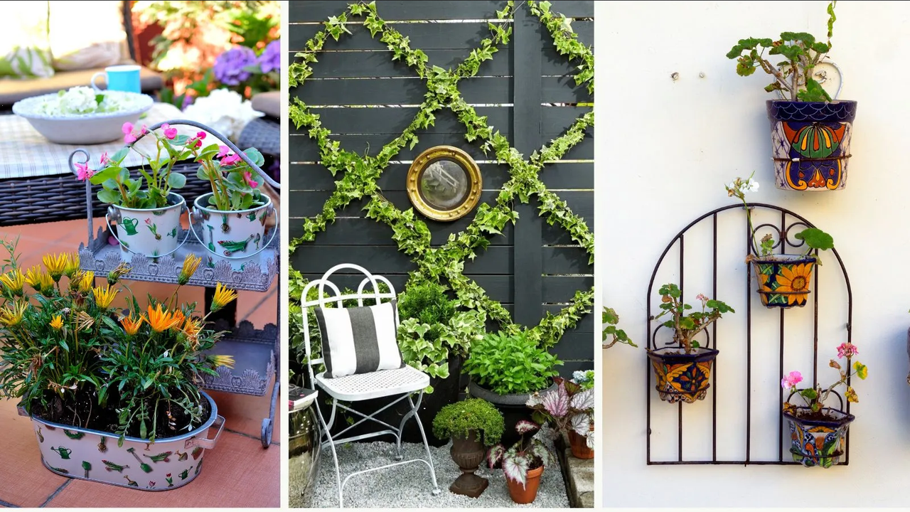 ¿Tienes poco espacio en el patio? Para que puedas decorar con plantas ...