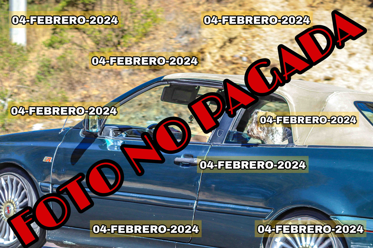 CS 365 — Postimages