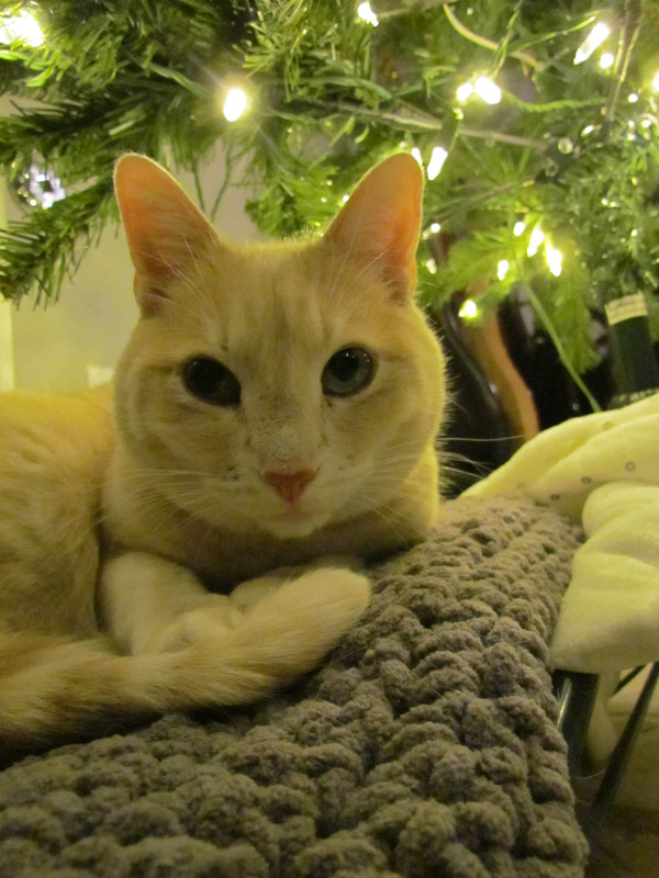 IMG 2279 — Postimages