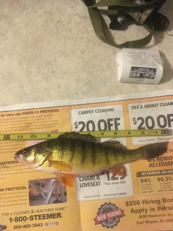 IMG 2276 — Postimages