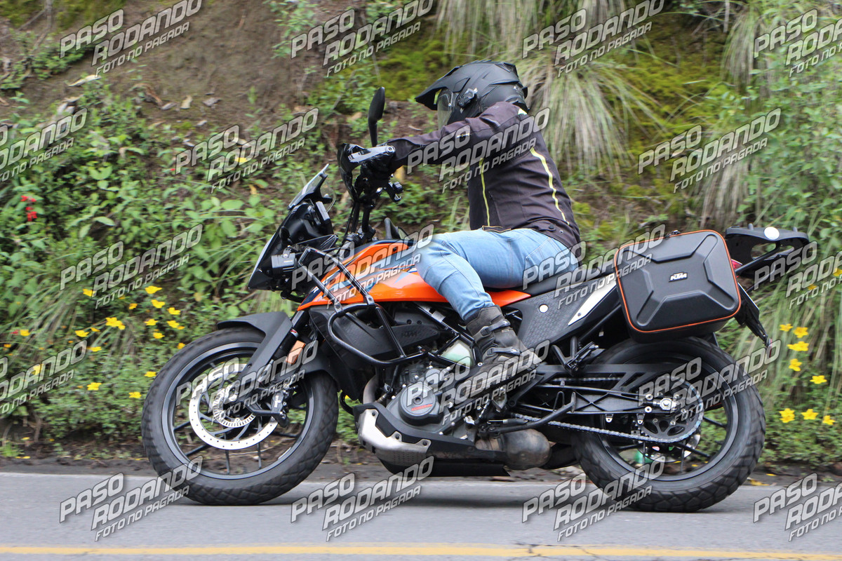 IMG 0992 wm 123287 09999999986 watermarked — Postimages