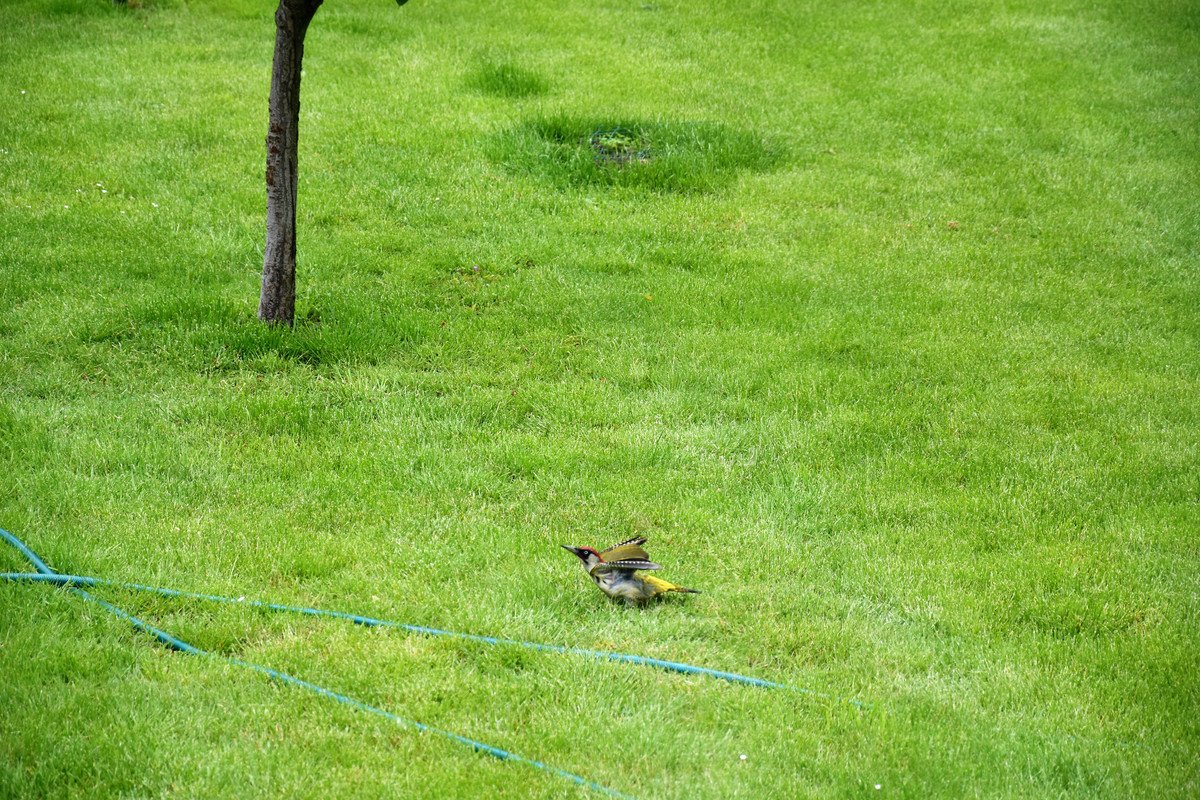 DSC 0643 — Postimages