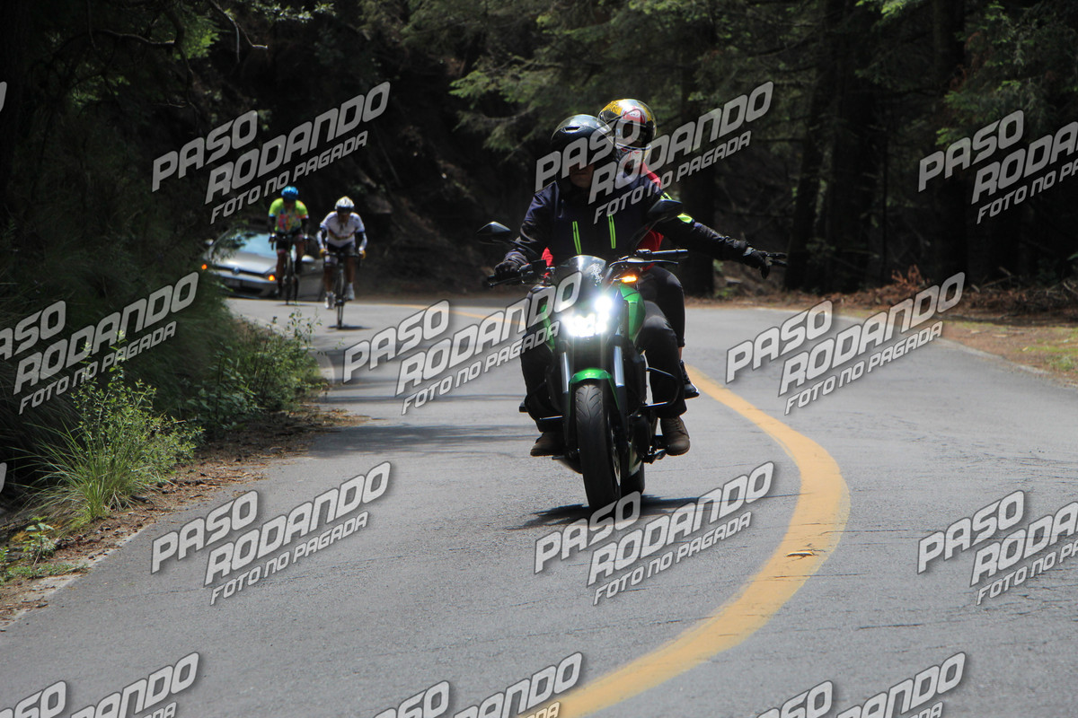 IMG 3749 wm 8579239 watermarked — Postimages