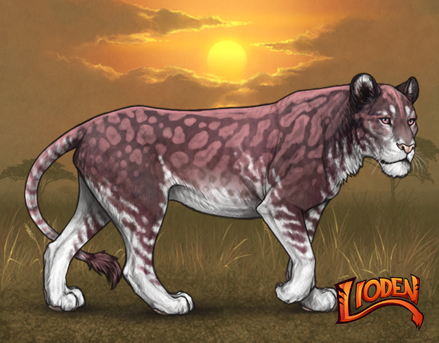 (CANCELED) :|: Lioden