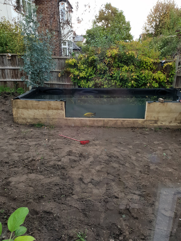 Raised Sleeper pond 2 - New House, new ideas - Page 3 - Pond Design and ...
