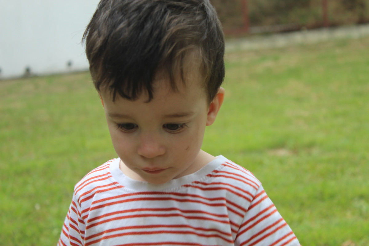 IMG 2434 — Postimages