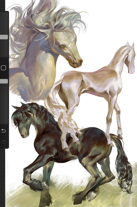 IMG 3164 — Postimages