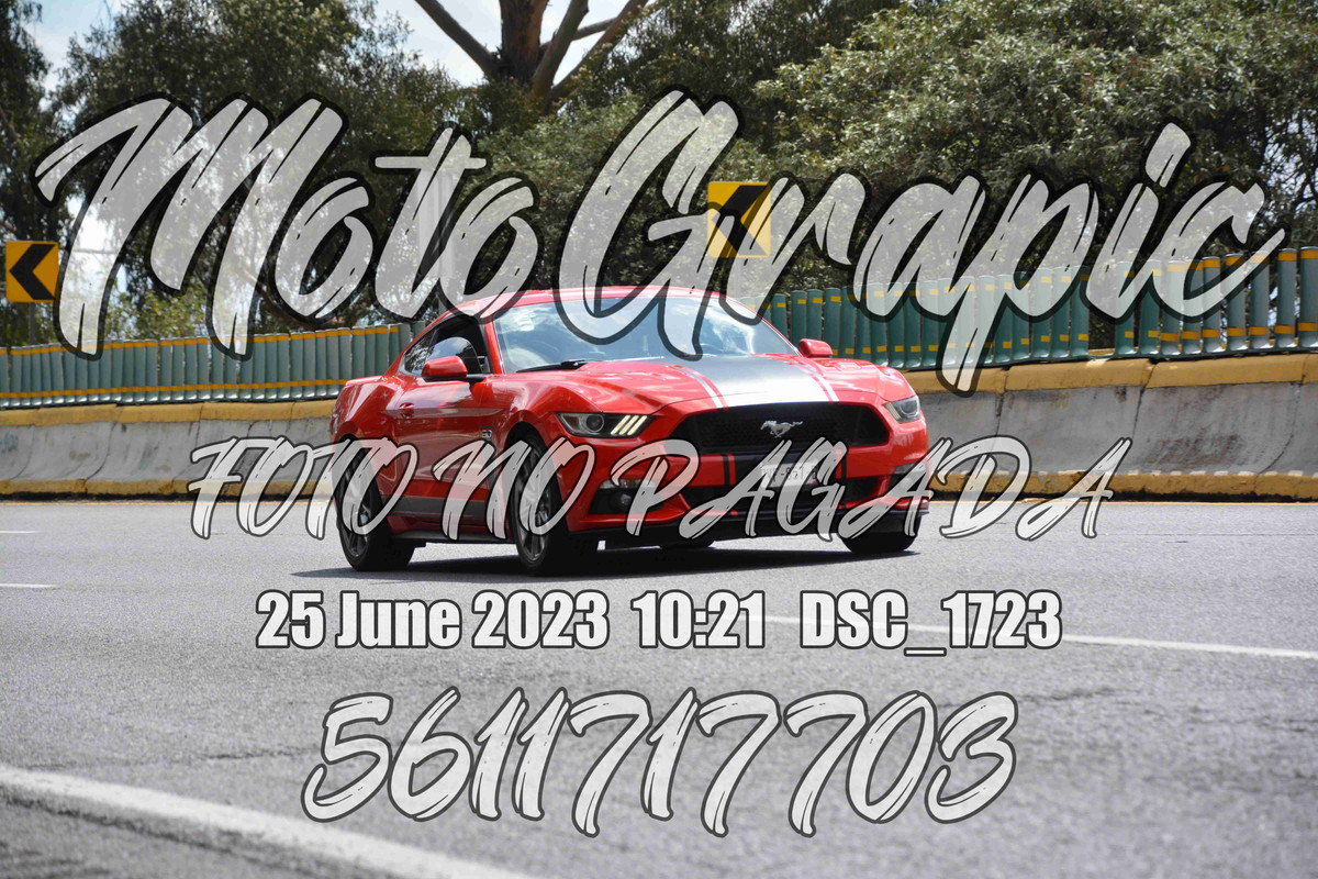 motgr DSC 1723 — Postimages