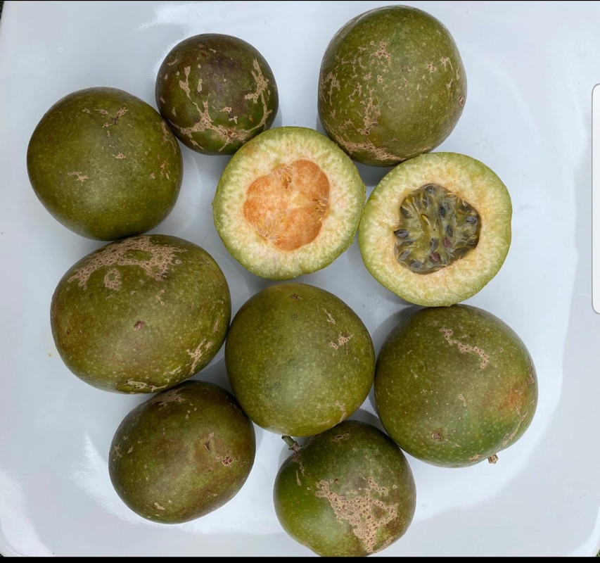 20241219 174006 — Postimages