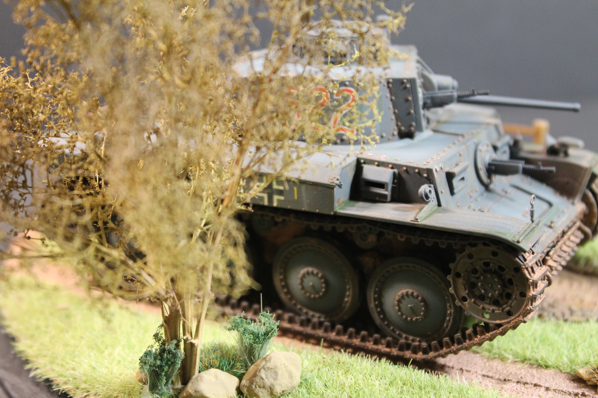 IMG 6212 — Postimages