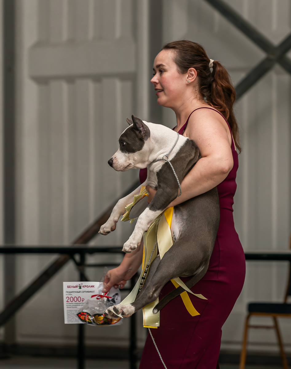 195 CR2 — Postimages