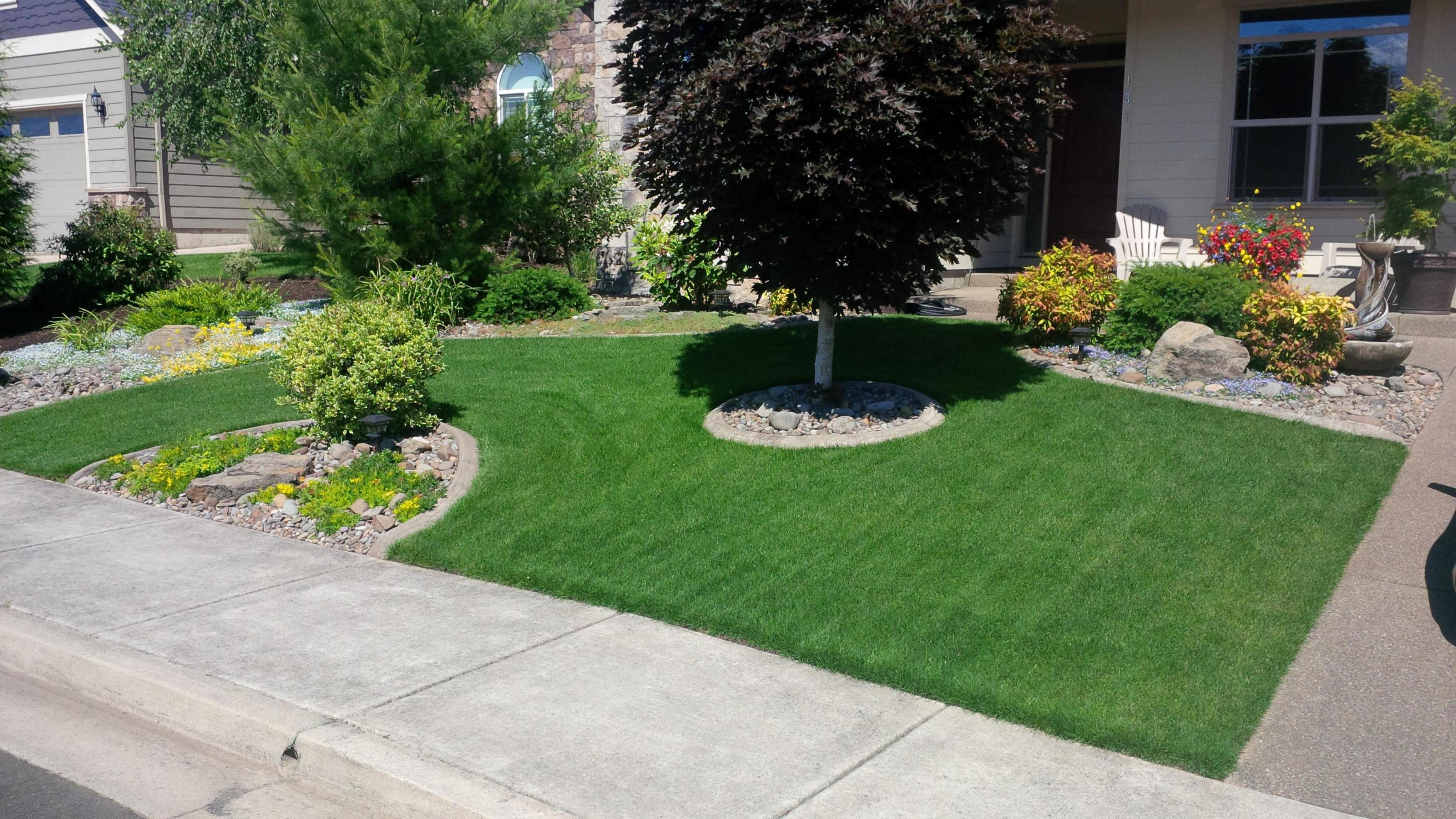 Front yard — Postimages