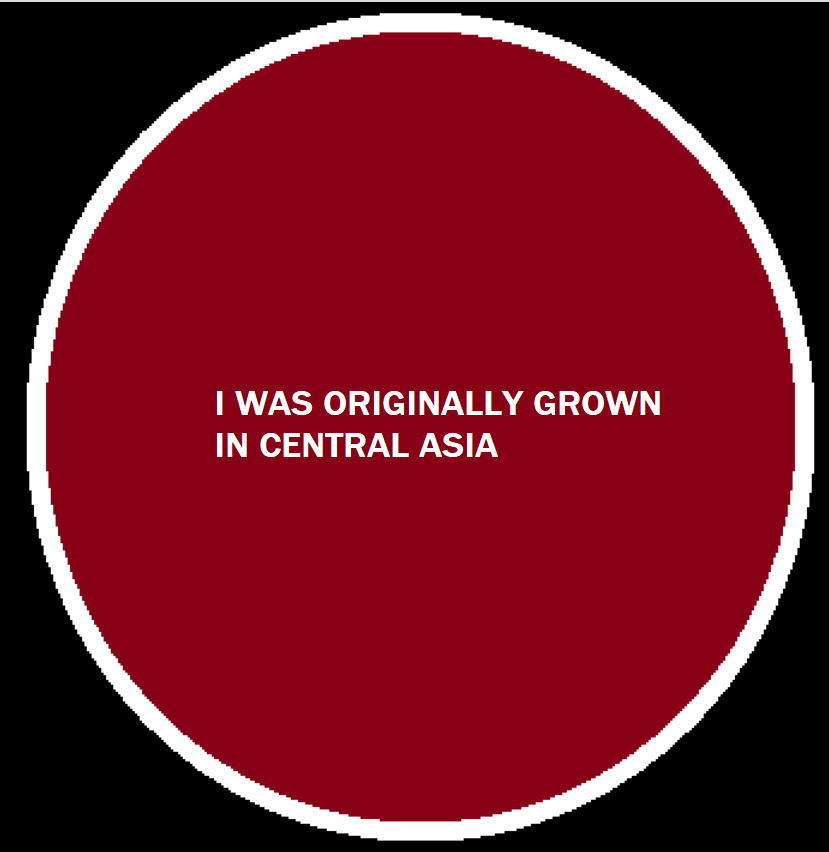 Top Secret Clue — Postimages