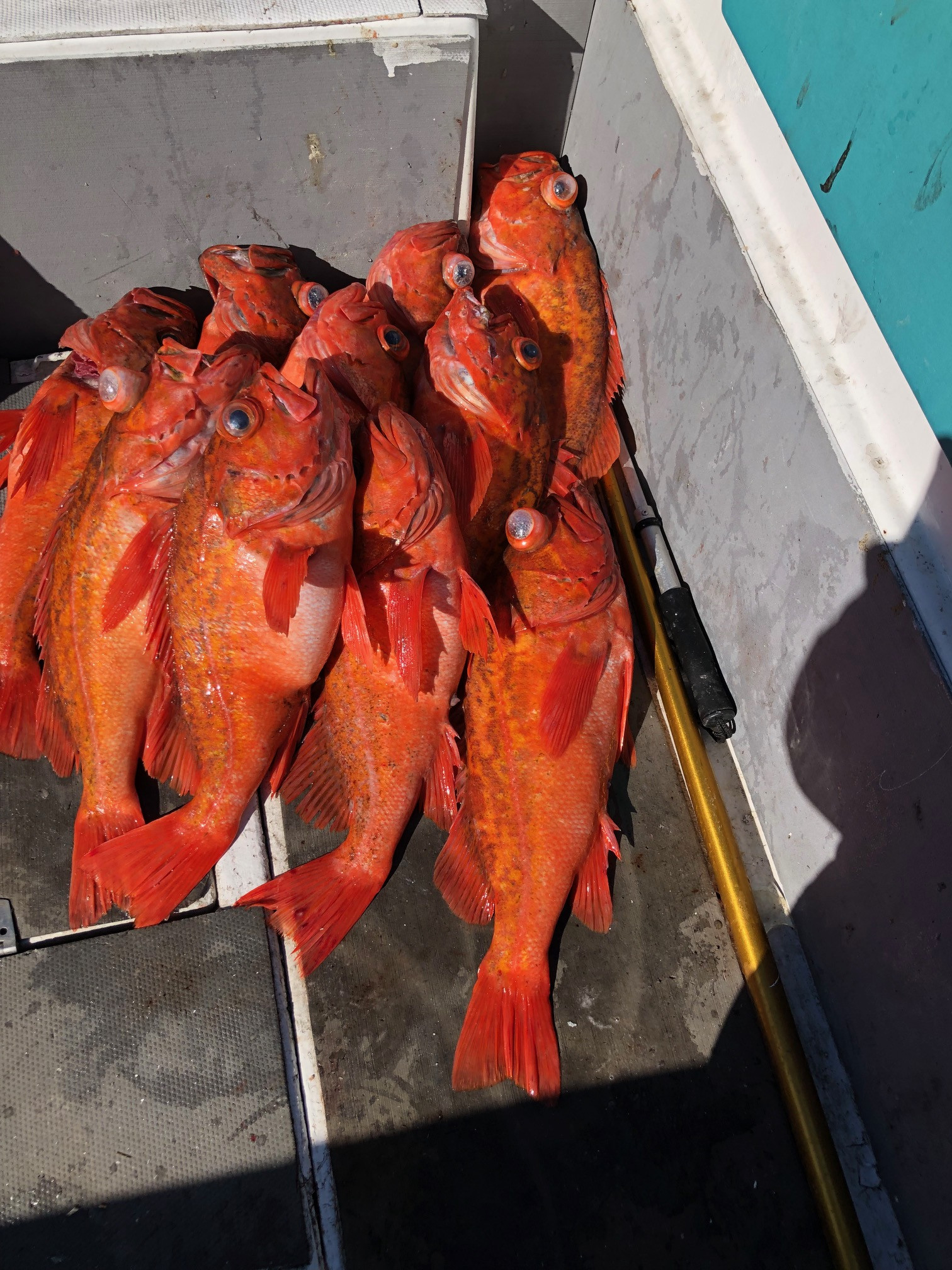 jan 14a — Postimages