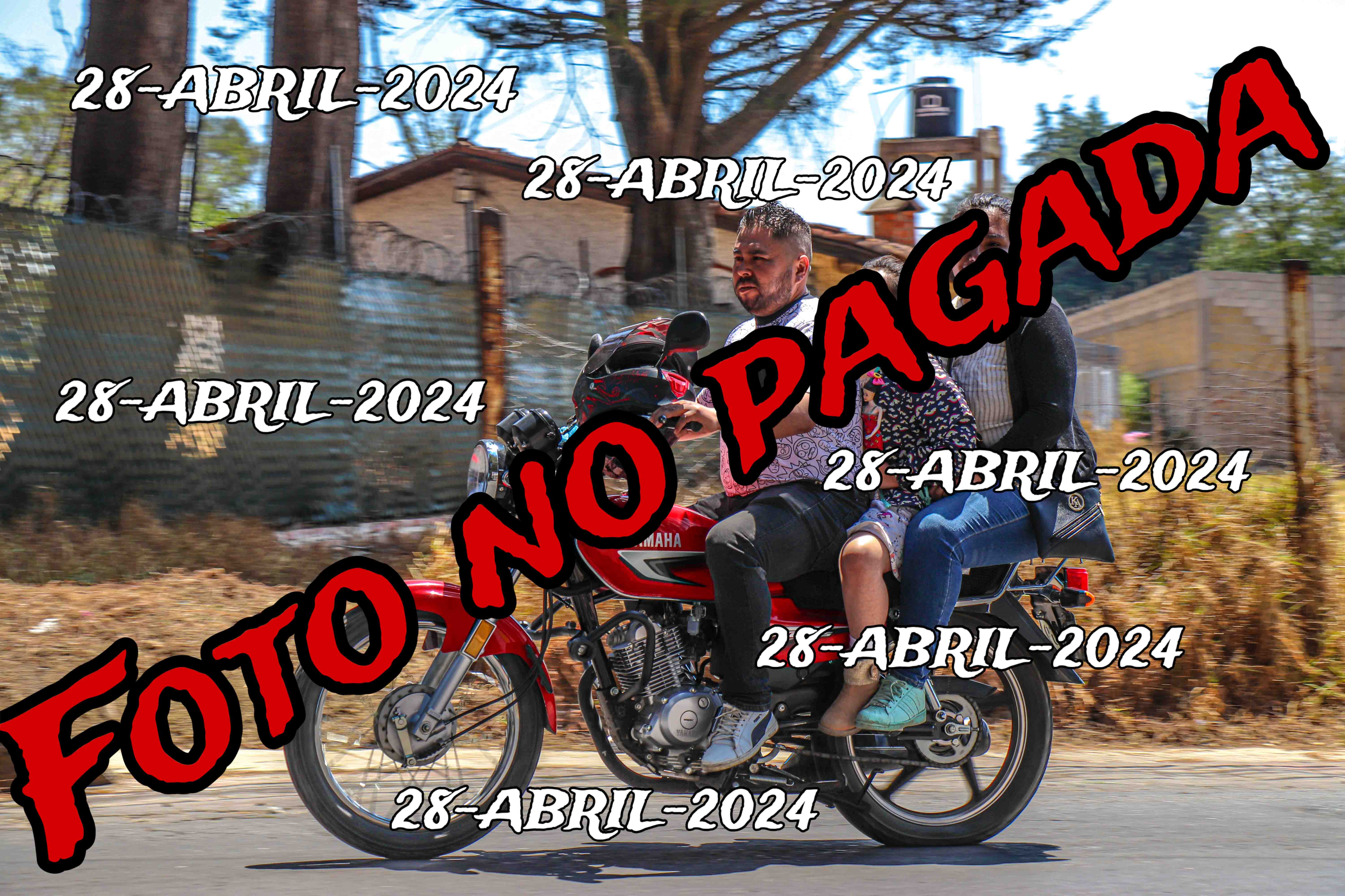 CV 511 — Postimages