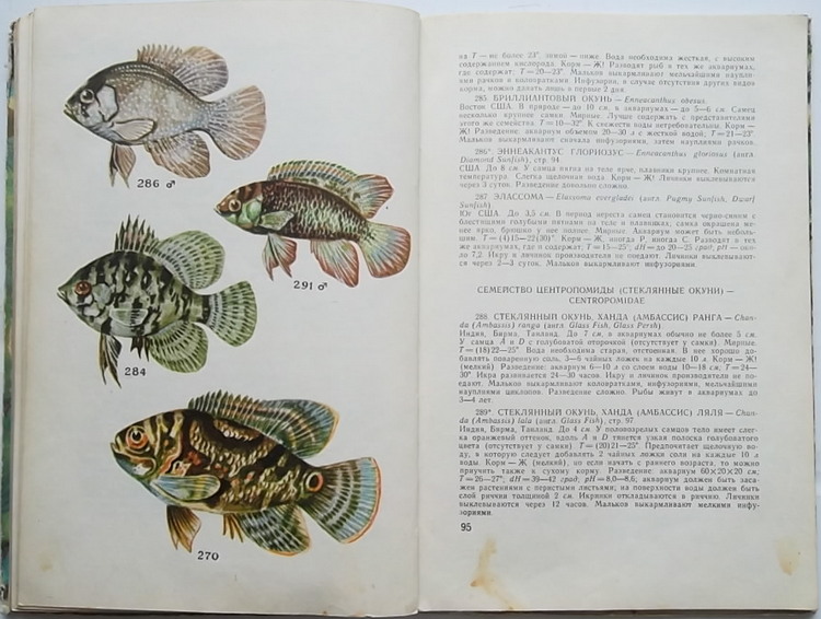 SAM 2022 — Postimages