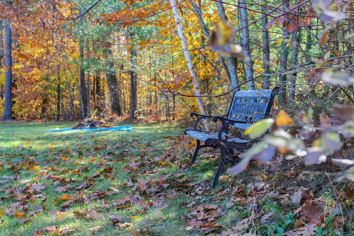 backyard — Postimages