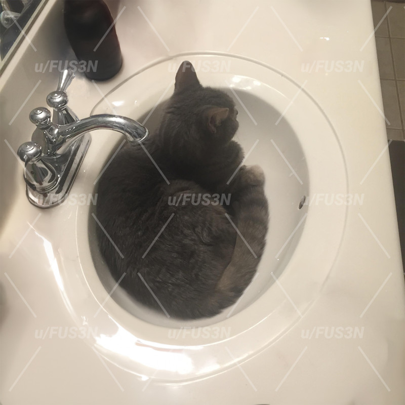 clean sink watermarked — Postimages