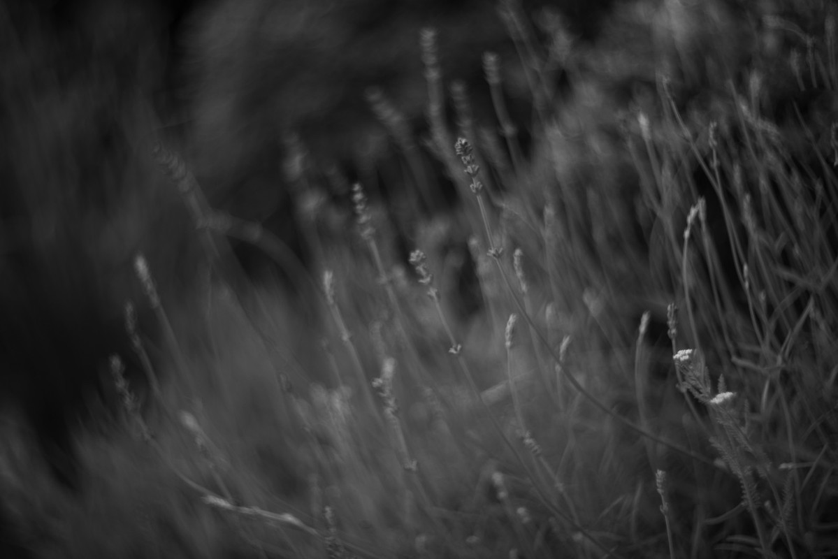 IMG 48e1b9dcb8375f9d6401cc8d62a71c91 V — Postimages