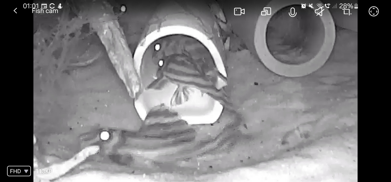 Screenshot 20240924 010135 YI Io T — Postimages